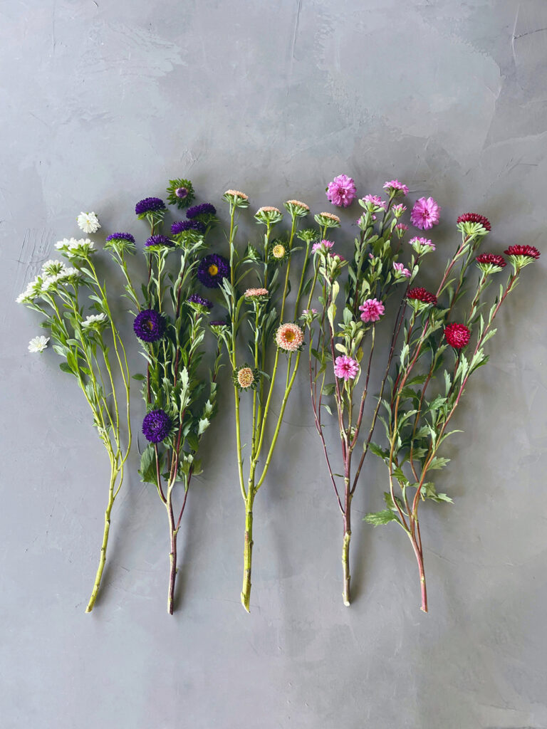 Aster - Bundle - Sweet Peas Flower Shop