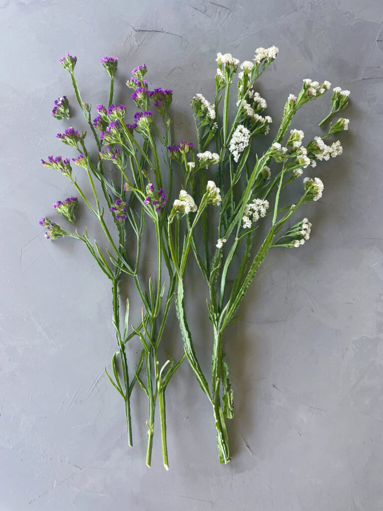 Statice Wholesale - Sweet Peas Flower Shop