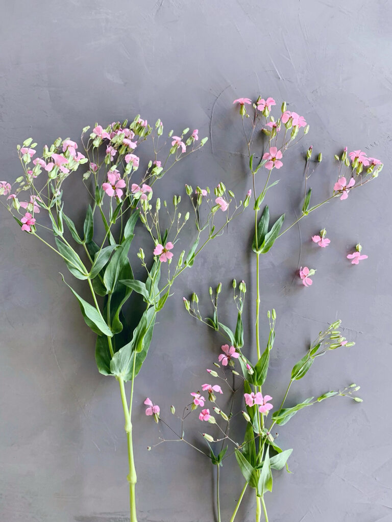 Indianapolis Flower Shop | Sweet Peas Flower Shop